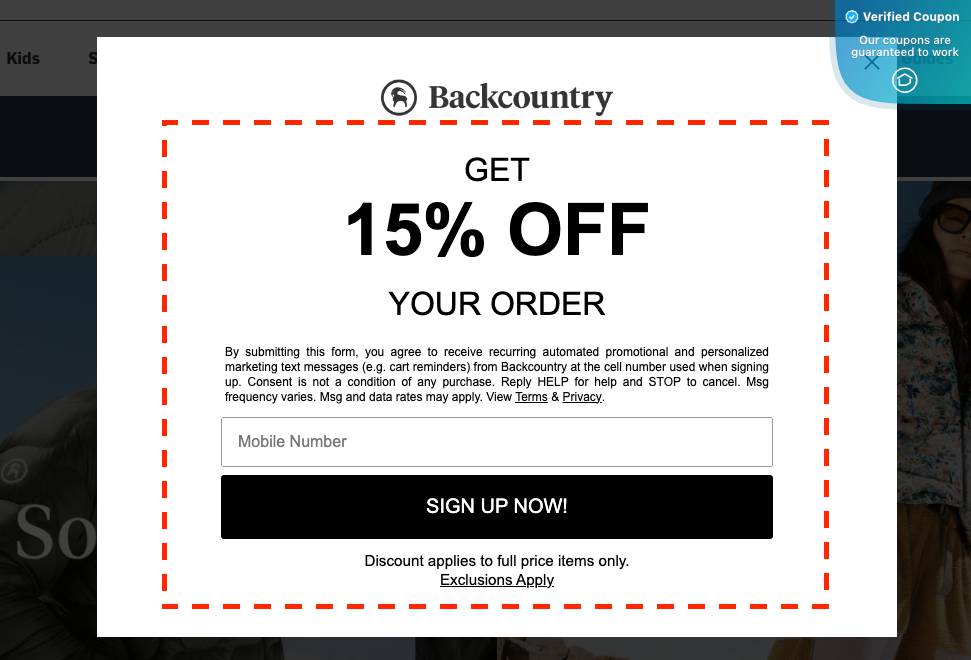 20% Off Backcountry Coupons & Promo Codes - February 2025
