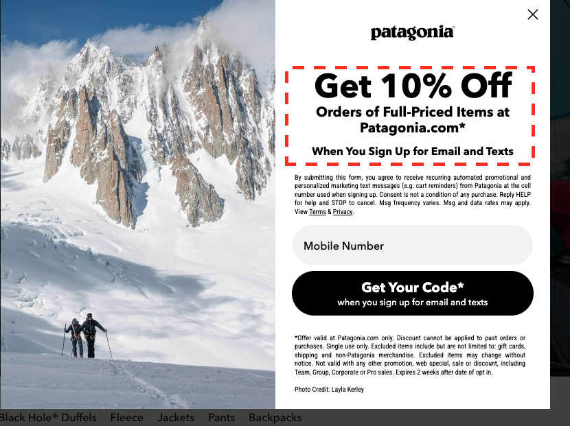 10% Off Patagonia Coupons & Promo Codes - January 2025