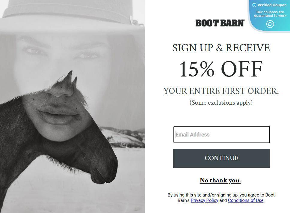 20% Off Boot Barn Coupons & Promo Codes - November 2024