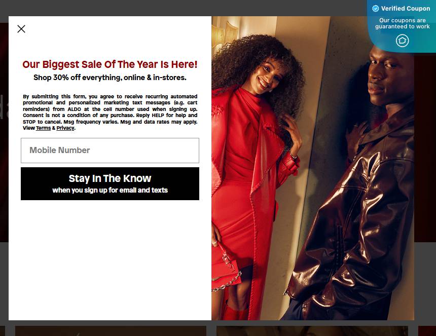 35% Off Aldo Coupons & Promo Codes - December 2024