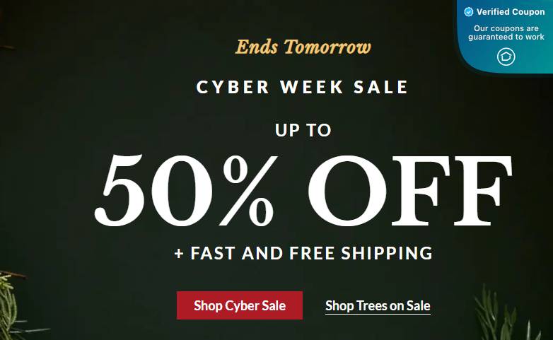 20% Off Balsam Hill Coupons & Coupon Codes - December 2024