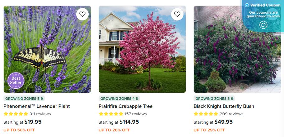 30% Off Fast Growing Trees Coupons & Discount Codes - February 2025