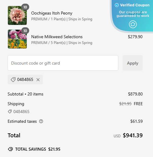 30% Off Express Coupons & Promo Codes - February 2025