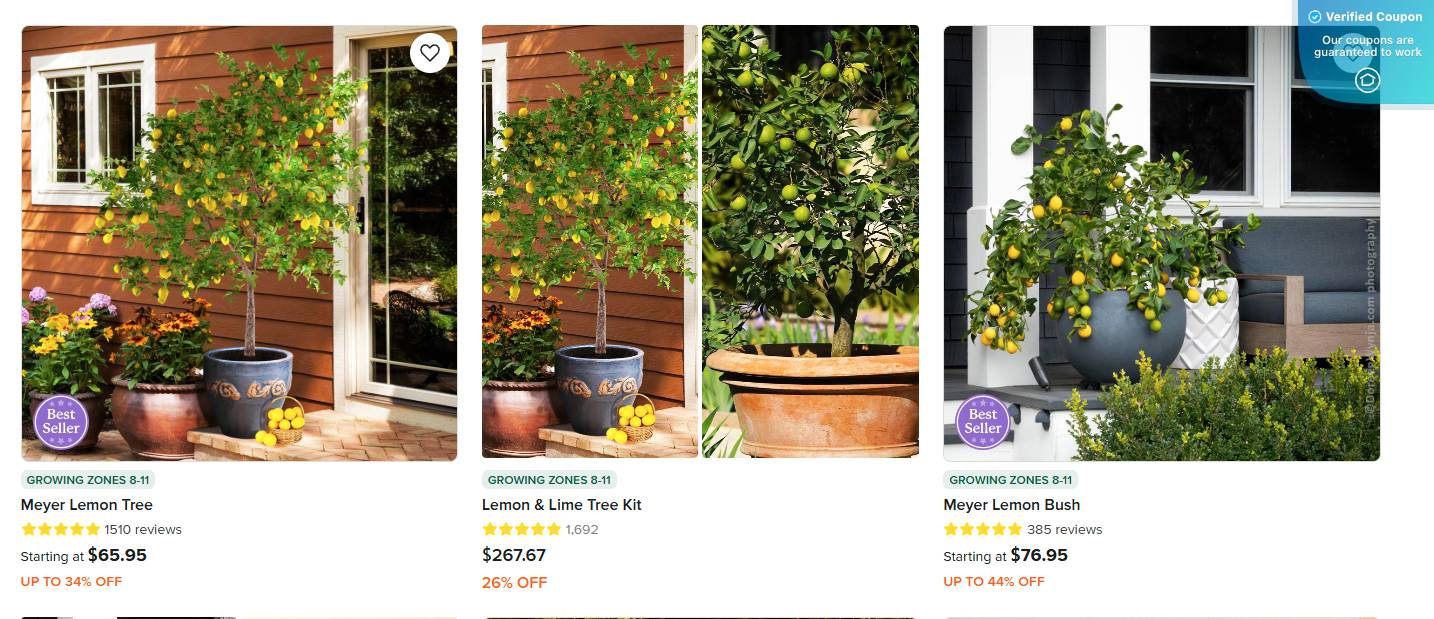 30% Off Fast Growing Trees Coupons & Discount Codes - January 2025
