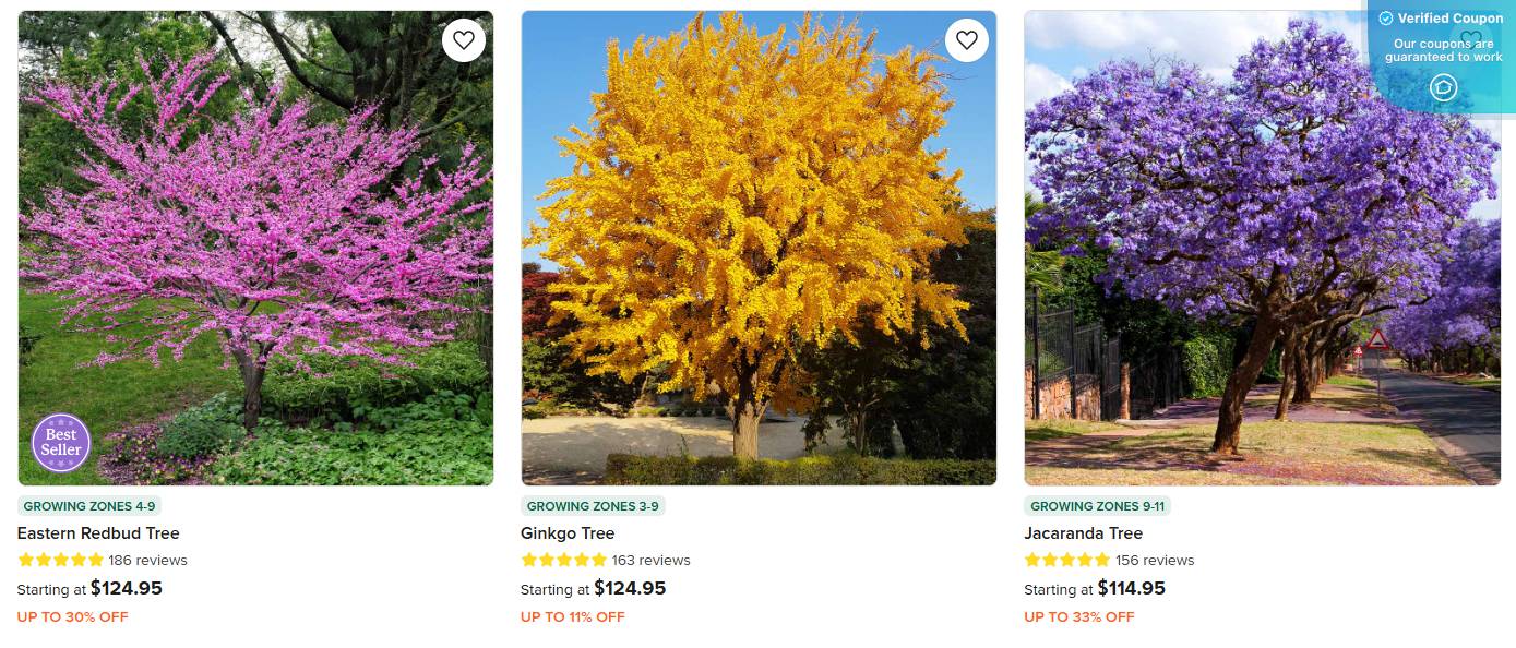 30% Off Fast Growing Trees Coupons & Discount Codes - January 2025