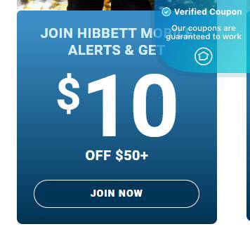 30% Off Hibbett Sports Coupons & Coupon Codes - January 2025