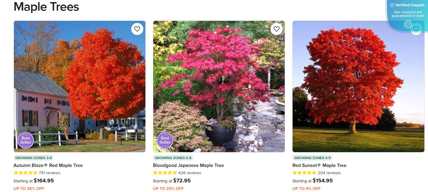 30% Off Fast Growing Trees Coupons & Discount Codes - March 2025