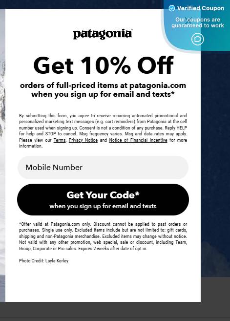 10% Off Patagonia Coupons & Promo Codes - February 2025