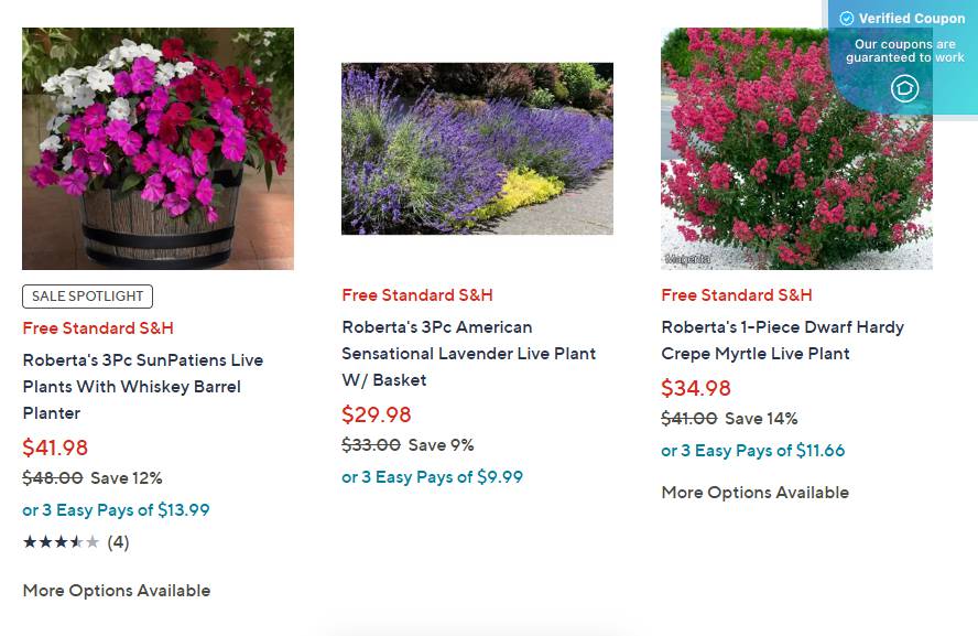 40% Off QVC Coupons & Promo Codes - February 2025