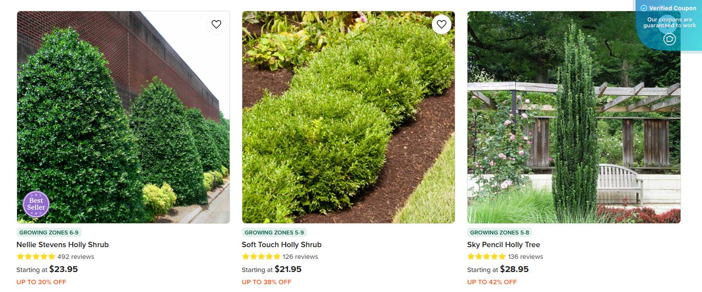 30% Off Fast Growing Trees Coupons & Discount Codes - February 2025