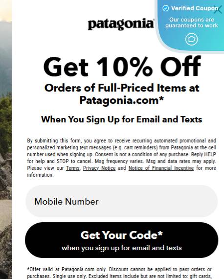 10% Off Patagonia Coupons & Promo Codes - March 2025