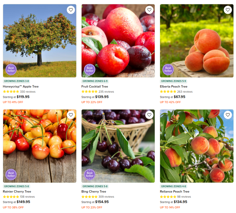 30% Off Fast Growing Trees Coupons & Discount Codes - April 2025