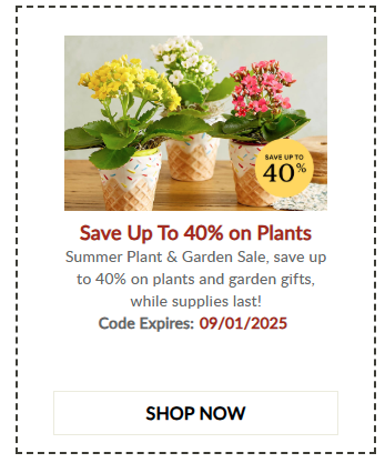 25% Off + 1800Flowers Coupons & Promo Codes – June 2025